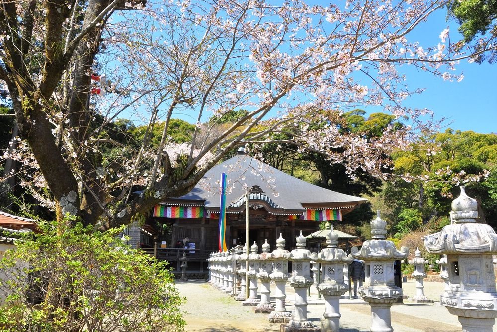 【長谷寺】の周辺スポット・アクセス・口コミ - Prism Japan